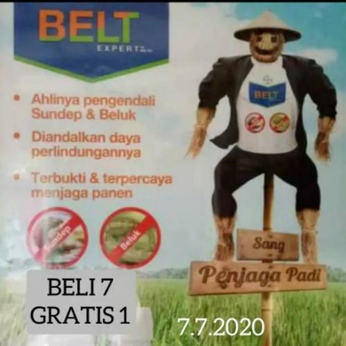 Jual Insektisida anti hama/ insektisida BELT/ obat sundep / obat padi ...