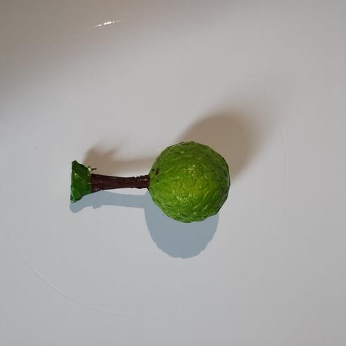 Jual Topper Pohon, Hiasan Kue Pohon, Topper Pohon Bulat, Mainan Pohon ...