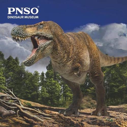 Jual PNSO Museum Line Wilson the Tyrannosaurus - Kota Tangerang - Dino ...
