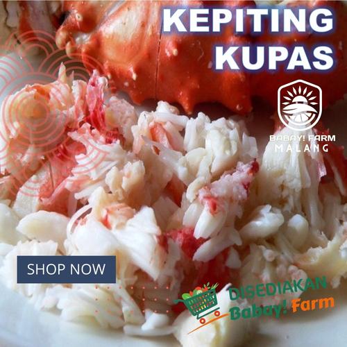 Jual Daging Kepiting Kupas Tanpa Cangkang Siap Olah 500 gr / peeled ...