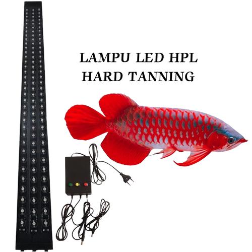 Jual Lampu taning tanning arwana led hpl 3 baris 105 titik / 105 watt ...