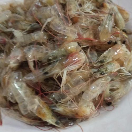 Jual Kulit Udang Segar 1 kg - Kota Bandung - Rumbo Sayur | Tokopedia