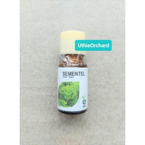 Jual Benih Bejo Seed - Selada Batavia Sementel Kemasan 100 pills - Kota Tangerang - UthieOrchard ...