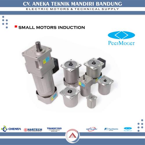 Jual PEEI MOGER SMALL MOTOR INDUCTION / MESIN INDUSTRI / ALAT TEKNIK ...