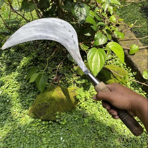 Jual Arit Rumput - Sabit Padi - Arit Sabit Tajam Gagang Kayu - Kota ...