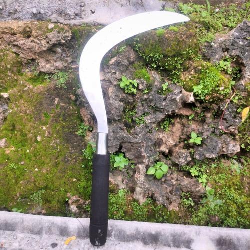 Jual arit rumput baja asli tajam madura - Kota Semarang - Arit Sabit ...