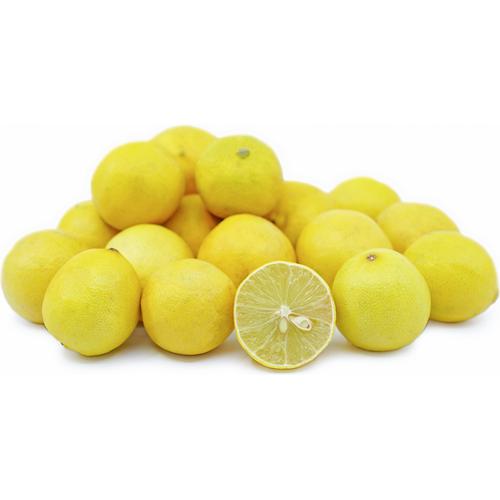 Jual Buah Jeruk Nipis Kuning Yellow Key Lime 100 gr - 1 kg - Jakarta ...