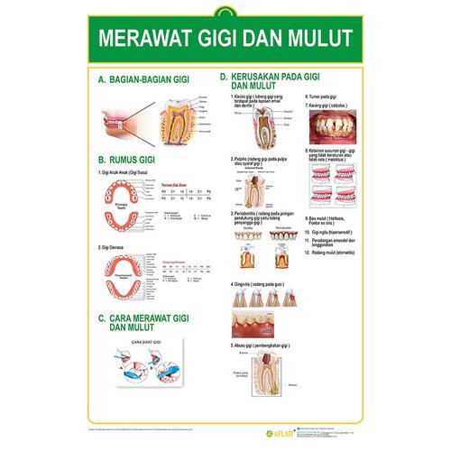 Jual Carta/Gambar Dinding Merawat Gigi dan Mulut - Jakarta Barat ...