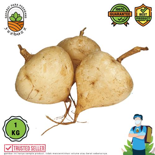 Jual Bengkoang / Bengkuang / Bangkuang 1 KG - Jakarta Pusat - yezbozz ...