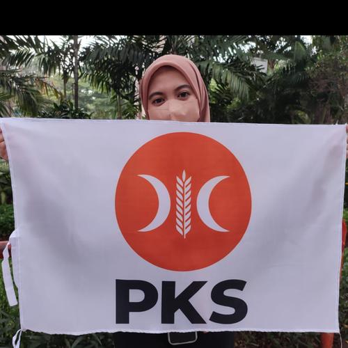 Jual Mini Flag Motif Logo PKS(Partai Keadilan Sejahtera)/Bendera Partai ...