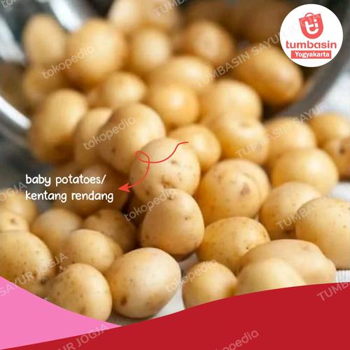 Jual Kentang Baby atau Kentang Rendang/ 500 gram - Kota Yogyakarta ...