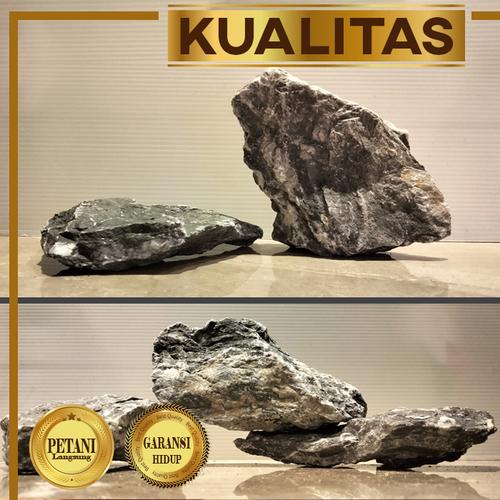 Jual Batu Seiryu Hiasan Aquarium Aquascape Ikan Hias dan Tanaman Air ...