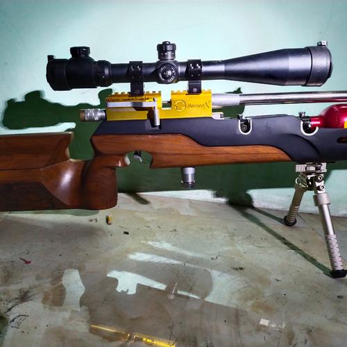 Jual Chamber Borneo X, pcp Lomba, scope best sight - Kab. Pasuruan ...