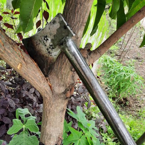 Jual Kapak Full Baja Per Cacah Tulang Sapi Gagang Kampak Asli Potong ...