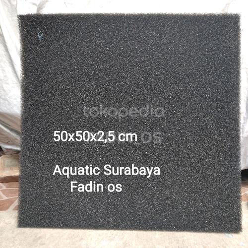 Jual Biofil Filter Biofoam bio sponge busa filter hitam 50x50x2,5cm ...