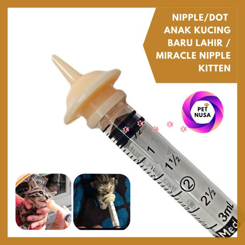 Jual Dot Kucing Baru Lahir / Pet Miracle Nipple Kitten Kucing Mini ...