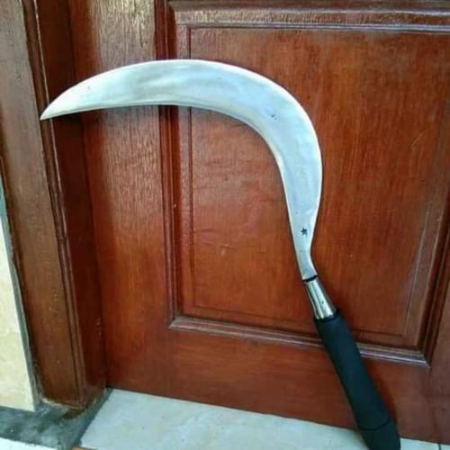 Promo sabit arit rumput baja per Asli MADURA Putih - Hitam - Putih, 10 ...
