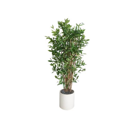 Promo Pohon Dracena Curcolos Pohon Tiruan / Pohon Palsu / Tanaman Hias ...