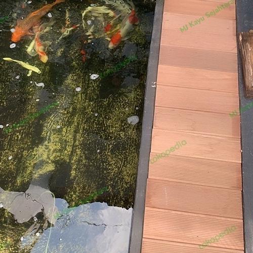 Jual Lantai Pinggir Kolam Koi Filter Deck Bengkirai - Kota Semarang ...