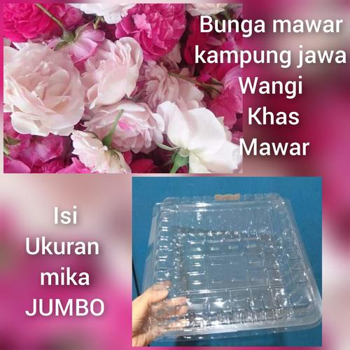 Jual Bunga Mawar wangi kampung Jawa isi ukuran MIKA jumbo fresh dan ...