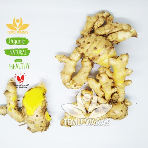 Jual Temu Mangga Segar 500gr Organik Asli Gunung Kidul - Aroma Mangga ...