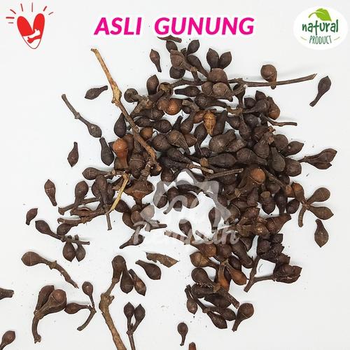 Jual Biji Ceplikan atau Ceplik Sari kering 1kg - Asli Hutan - Kab ...
