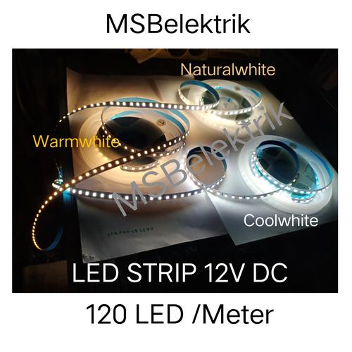 Jual Lampu strip led 12v DC 120L 2835 SMD /Morgen LED strip strong CW ...