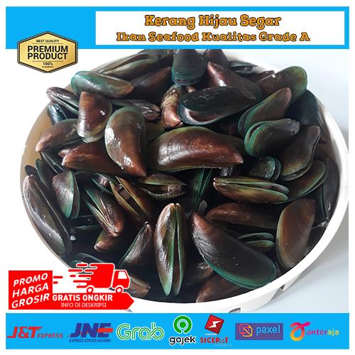 Jual Kerang Hijau Segar 1 Kg / Kerang Ijo Cooked Fresh / Kerang Ijo ...
