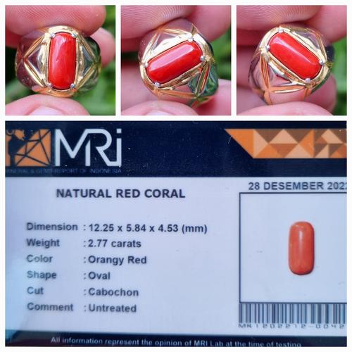 Jual Batu Marjan Merah Red Coral NTE Memo 2.77 crt - Jakarta Timur ...
