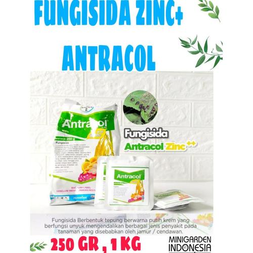 Jual FUNGISIDA ANTRACOL 250GRAM antracol 70 WP + ZINC obat pengendali hama - Kota Bandung ...