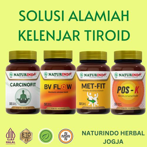 Jual Paket Obat Herbal Solusi Alami Kelenjar Tiroid Naturindo - Kab ...