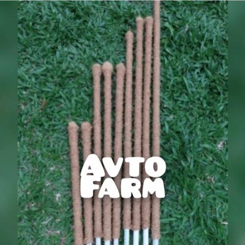 Jual turus tanaman panjang 50cm dan 100cm tali sabut -50cm - 30cm ...