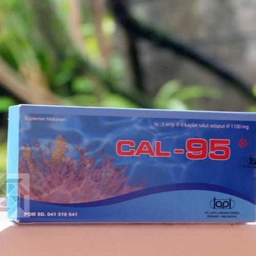 Jual CAL-95 calsium koral kalsium untuk tulang - Kota Bandung - CakraMP ...