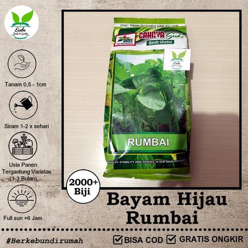 Jual Benih Biji Bayam Hijau RUMBAI - GARUDA Benih Sayuran - Kab ...