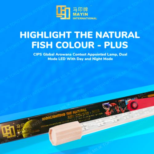 Jual Lampu LED MAYIN VIEW PLUS Aquarium ikan Arowana / Arwana - 92 cm ...