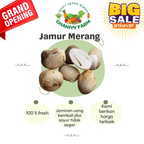 Jual jamur merang fresh - Jakarta Barat - GhaniyyFarm | Tokopedia
