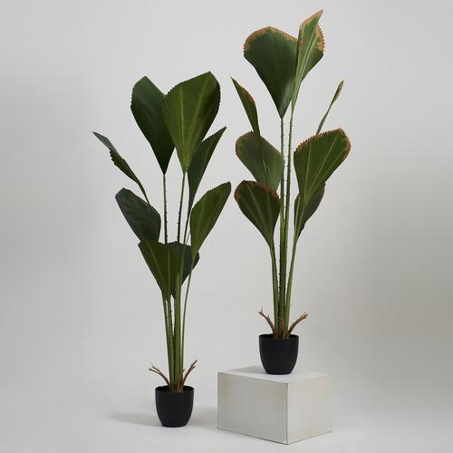 Promo Pohon Palem Kipas Artifisial Baru Natural PALMAR Tanaman ...