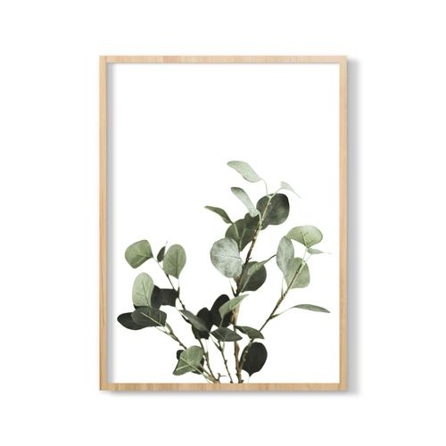 Jual Poster "Botani II Eucalyptus" + Premium Frame Kayu - Hitam+mat ...
