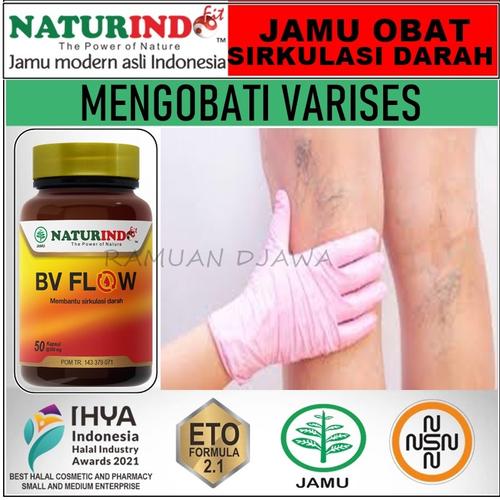 Jual BV FLOW Naturindo - Obat Herbal Penyumbatan Pembuluh Darah ...