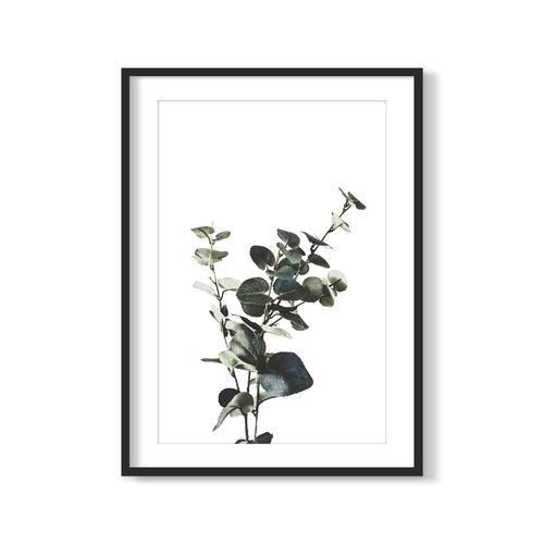 Jual Poster "Botani I Eucalyptus" + Premium Frame Kayu - Hitam+mat ...