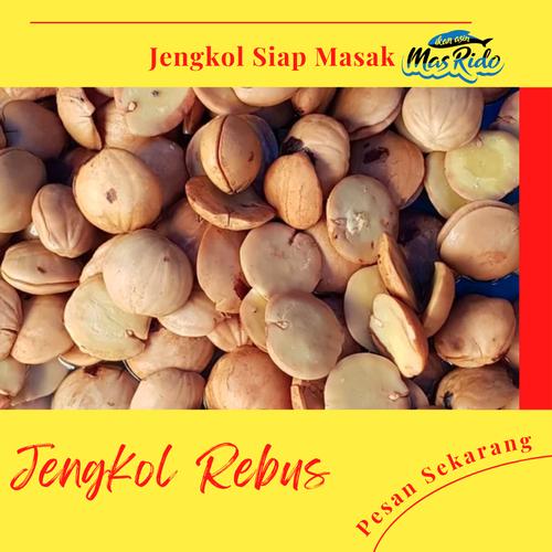 Jual Jengkol Rebus Siap Masak 1 Kg Jelok Jariang Kemasan Vacuum Pack ...