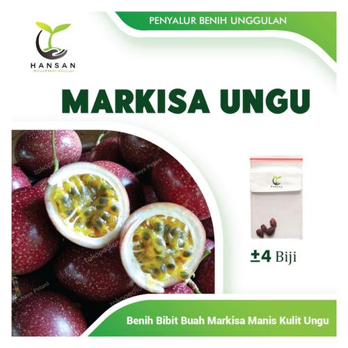 Jual 4 Bibit Buah Markisa Ungu Manis Super Benih Tanaman Buah Markisa Madu - Kota Tangerang ...