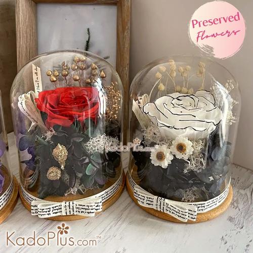 Jual Bunga Valentine Preserved Flower Dome Bunga Graduation - Pink ...