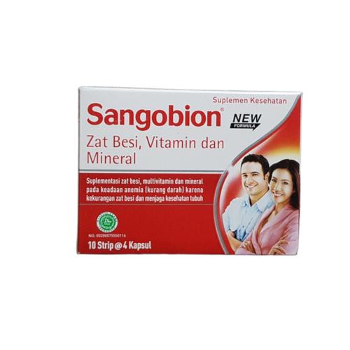 Jual Sangobion Zat Besi, Vitamin, Dan Mineral Box Isi 40 Kapsul - Kota ...
