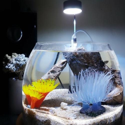 Jual Lampu Led untuk Akuarium Bowl, akuarium Bulat - Kab. Sleman ...