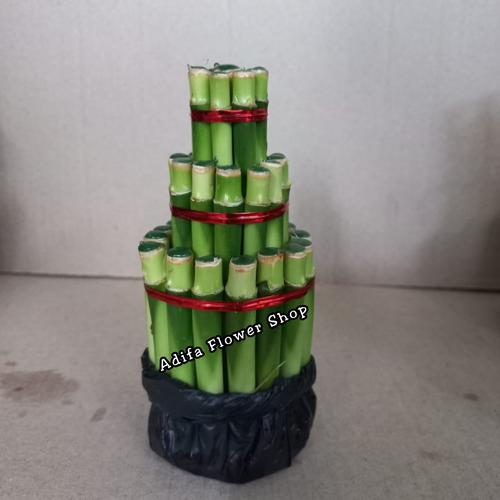 Jual PAKET KOMPLIT TANAMAN BAMBU HOKI SPIRAL + POT + BATU + ALAS ...