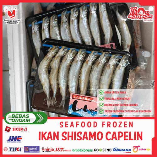 Jual Shisamo Fish Ikan Shisamo Capelin Frozen - Jakarta Utara - Ikan ...