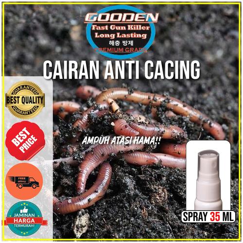 Jual CAIRAN RACUN PEMBASMI CACING DAN LINTAH GOODEN 35 ML Anti Cacing ...