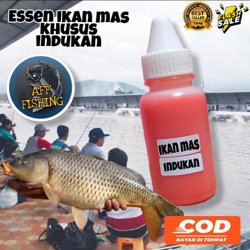 Jual Essen indukan ikan mas - Kab. Sukabumi - AFF FISHING SHOP | Tokopedia
