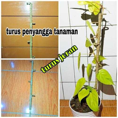 Jual Turus Tiang Penyangga Tanaman Rambat / Turus tanaman hias - 50Cm ...